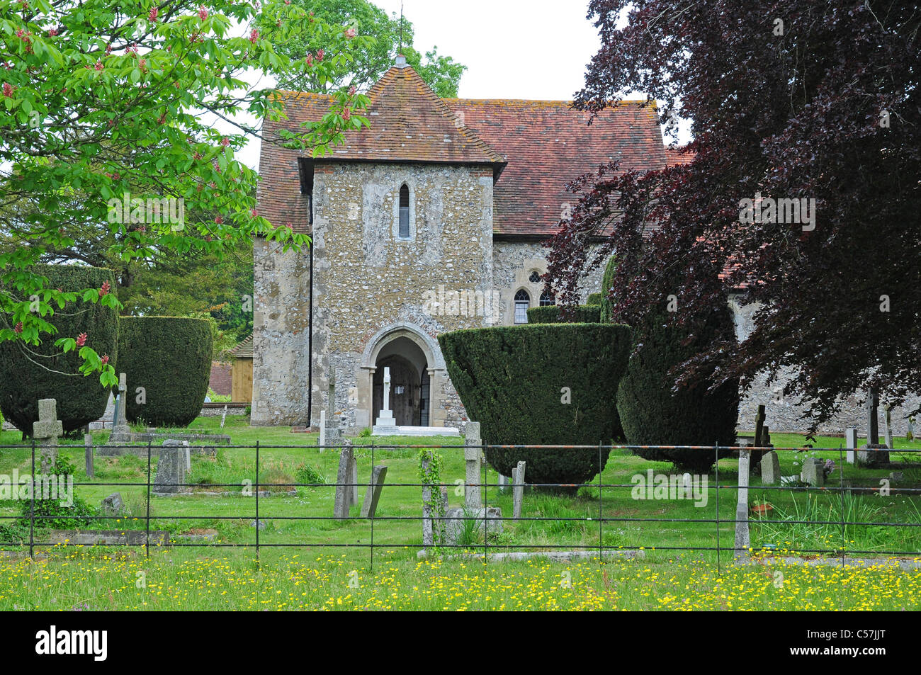 Saint andrews crosses x hi-res stock photography and images - Alamy