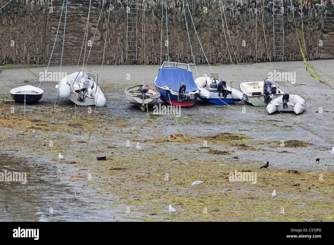 Quayside Ladders High Resolution Stock Photography and Images - Alamy