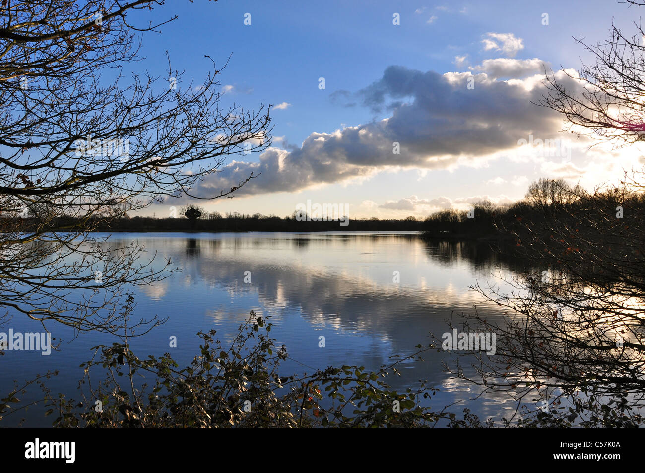 Over-looking the lake at Dinton Pastures Stock Photo - Alamy