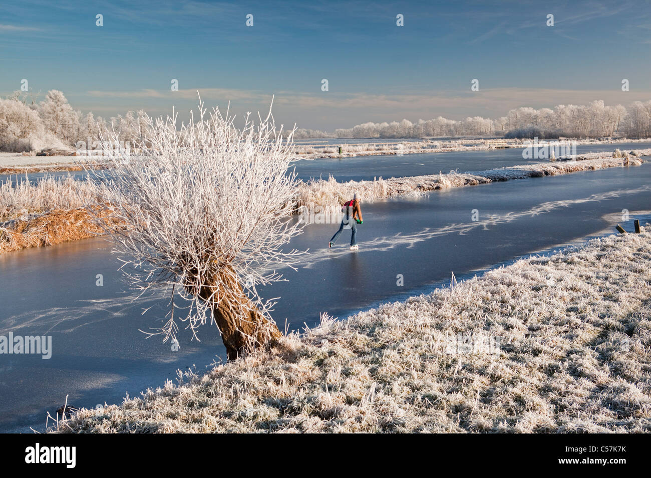 The Netherlands, Loenen aan de Vecht. Woman ice skating and willow tree ...