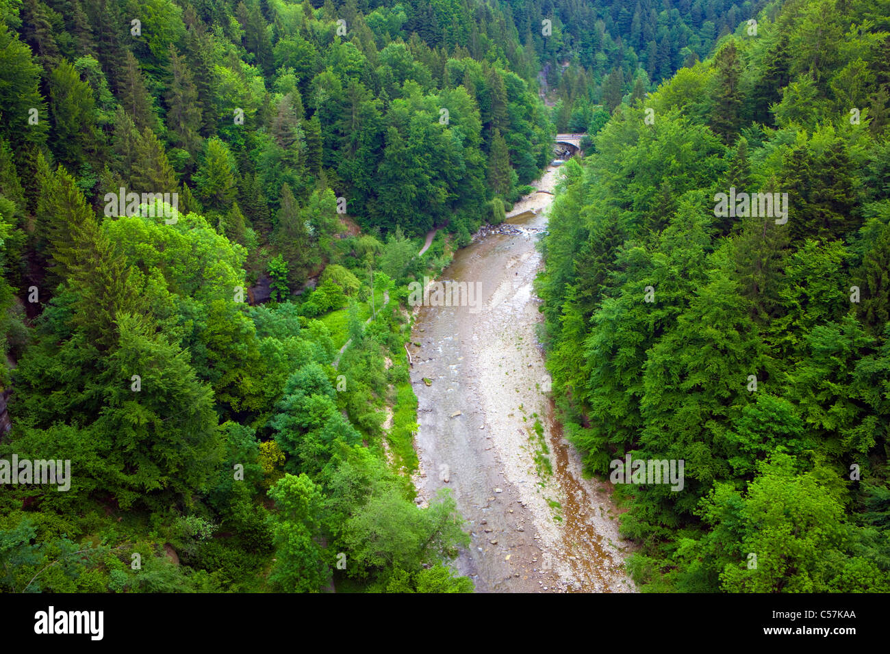 Black water jump, Switzerland, Europe, canton Bern, river, flow, gulch ...