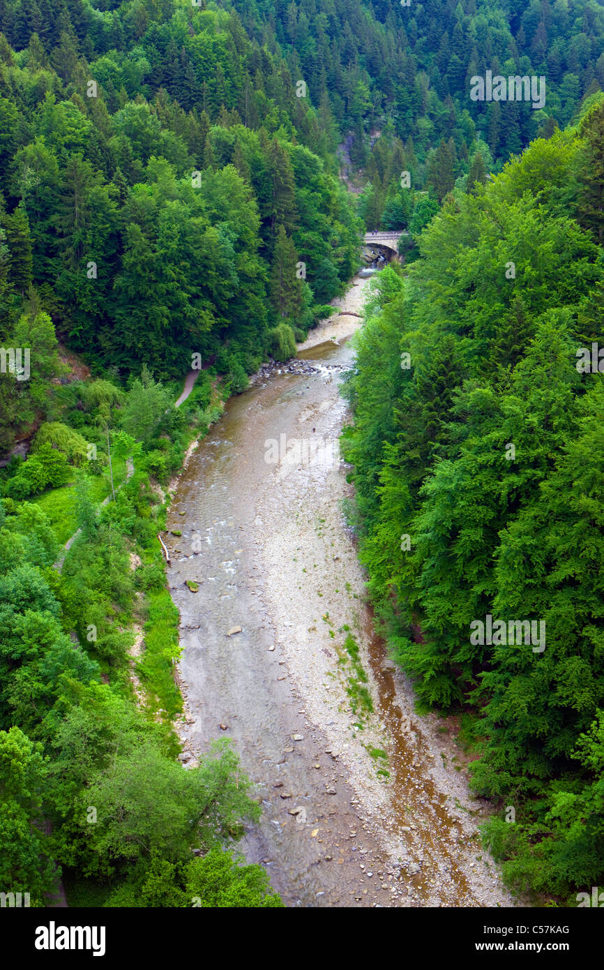 Black water jump, Switzerland, Europe, canton Bern, river, flow, gulch ...