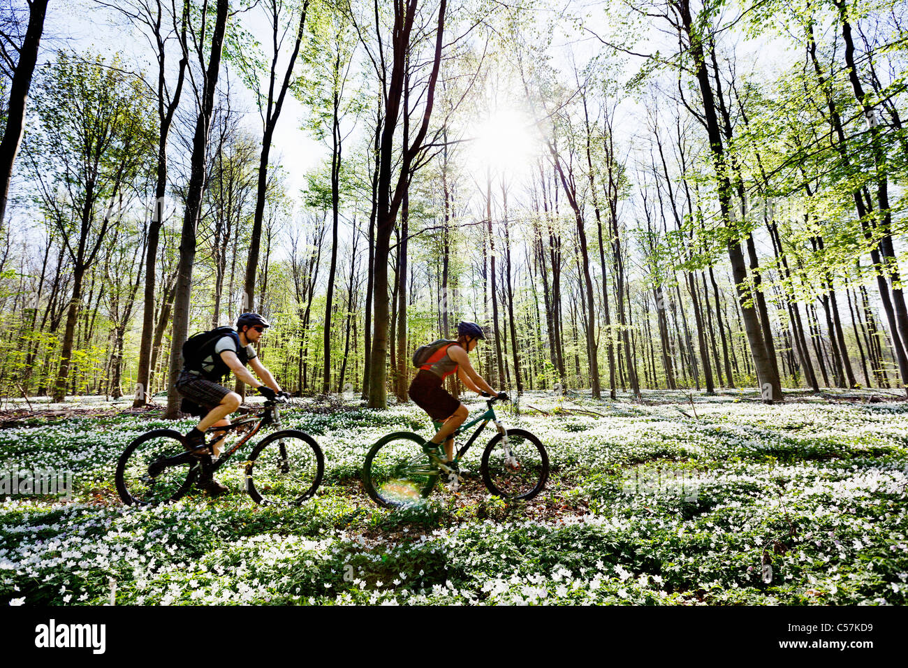 Couple mountain biking together Stock Photo - Alamy