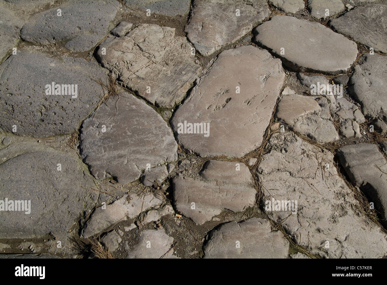 Pavement detail, Roman site of Herculaneum, Italy Stock Photo - Alamy