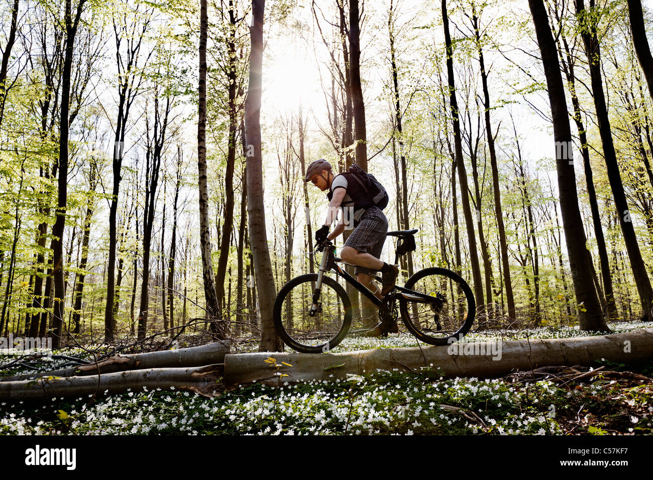 Biker enjoying sunny day hi-res stock photography and images - Alamy