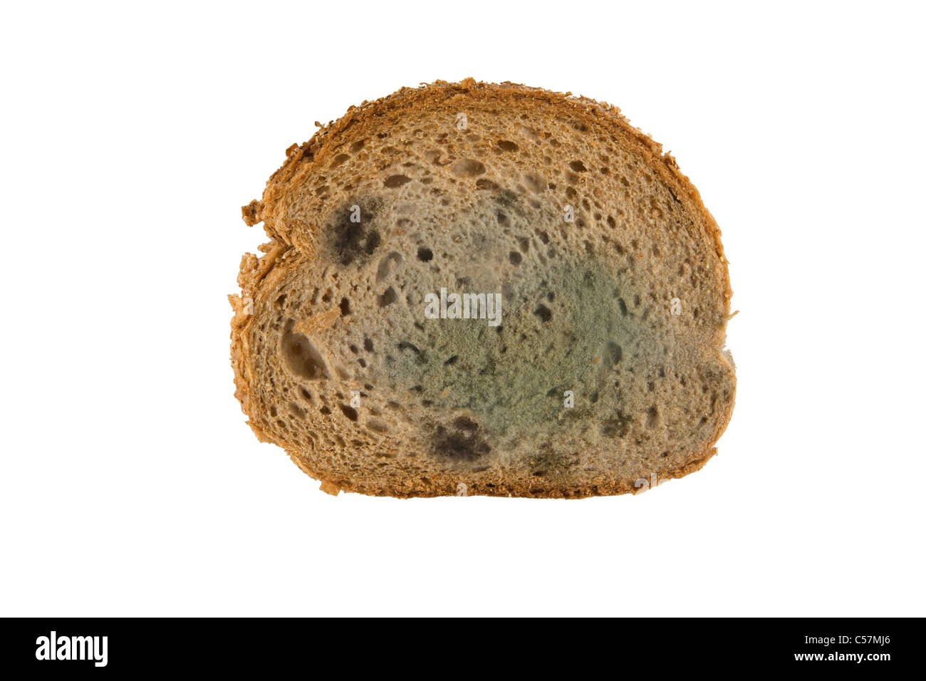 Moldy Bread High Resolution Stock Photography and Images - Alamy