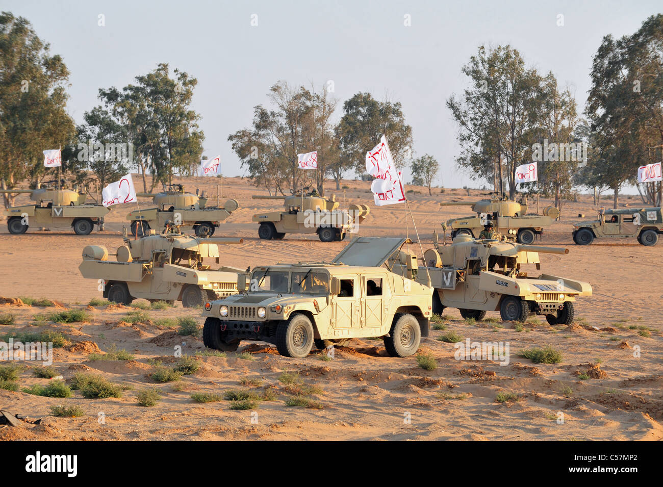 Caracal Battalion High Resolution Stock Photography and Images - Alamy