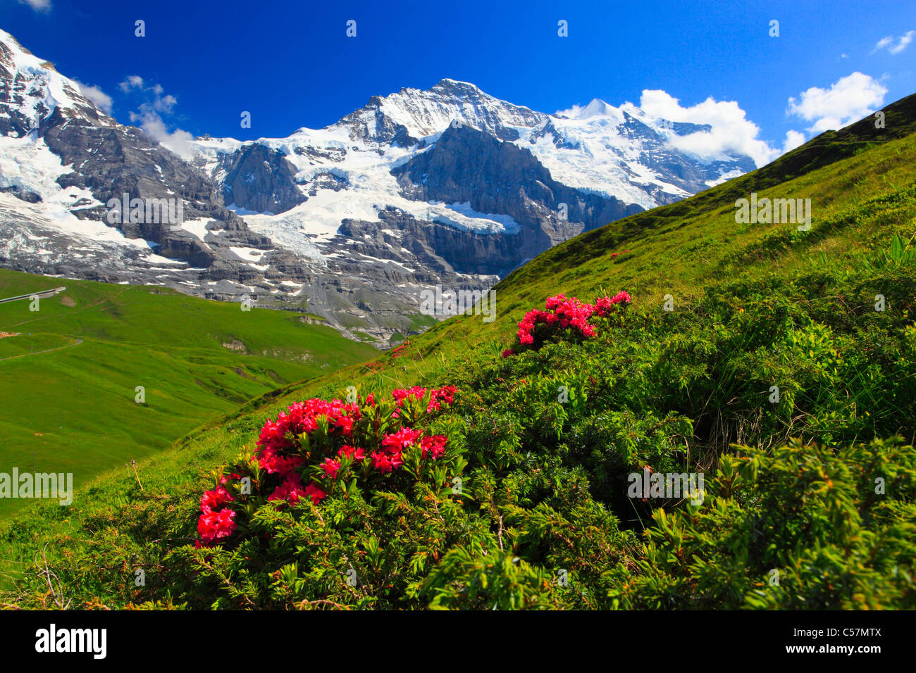 C57mtx hi-res stock photography and images - Alamy