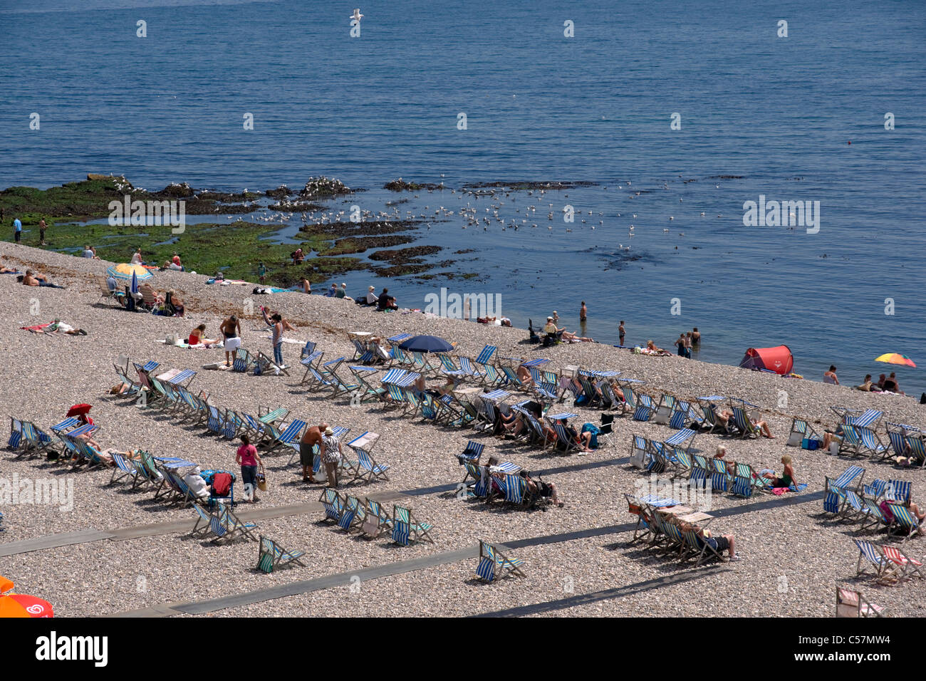 Beer Devon England UK Stock Photo - Alamy
