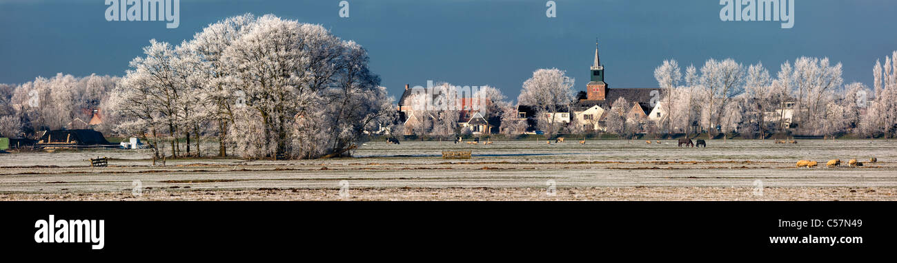 The Netherlands, Nigtevecht, Panoramic in winter. Snow Stock Photo - Alamy