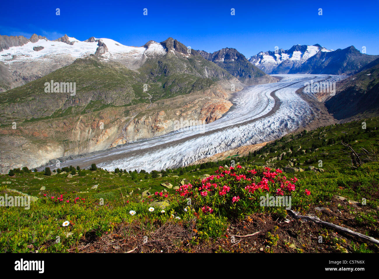 Aletsch, Aletsch glacier, Aletsch area, Aletsch glacier, Alps, Alpine ...