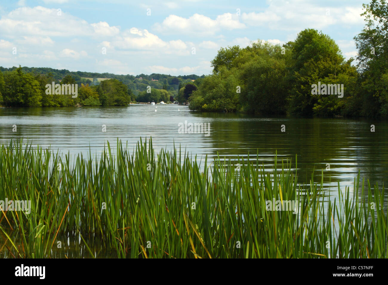 View of the Thames River from the Thames Path towards Bourne End ...
