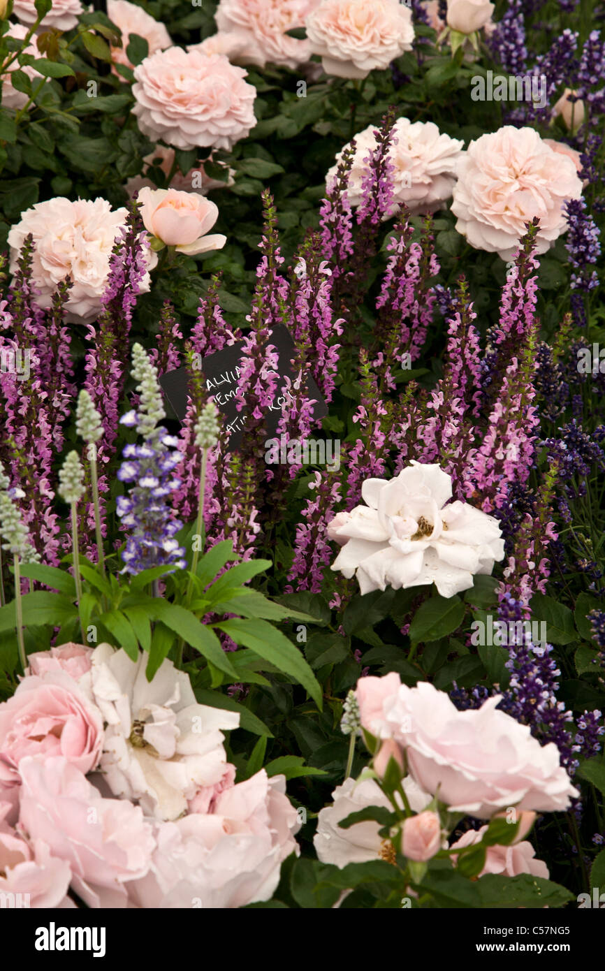 Pink Mixed Flowers Stock Photo - Alamy