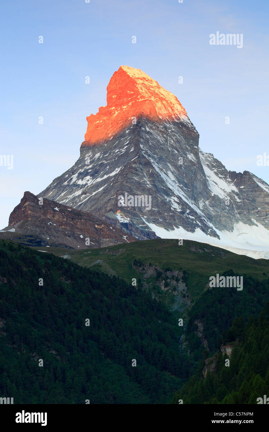 Alps, afterglow, glowing, Alpine panorama, view, mountain, mountain ...