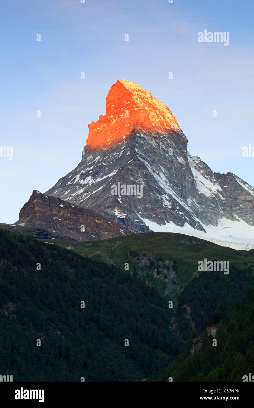 Alps, afterglow, glowing, Alpine panorama, view, mountain, mountain ...