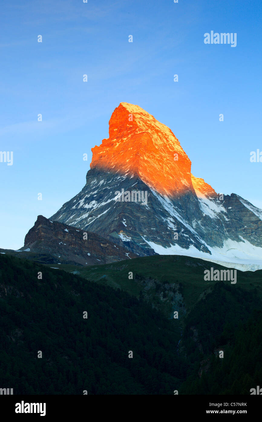 Alps, afterglow, glowing, Alpine panorama, view, mountain, mountain ...