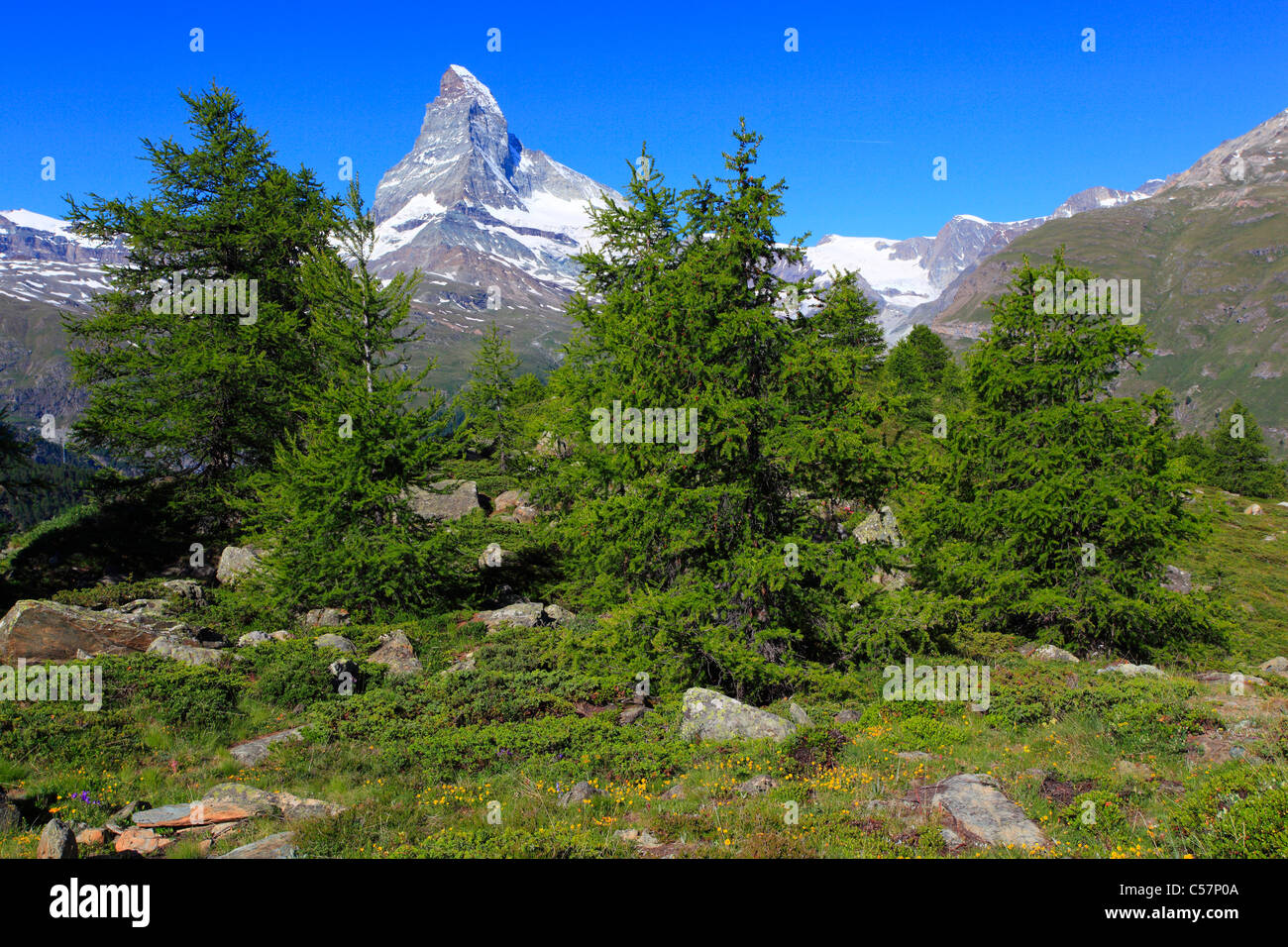Alps, Alpine panorama, view, mountain, mountain panorama, cliff, rock ...