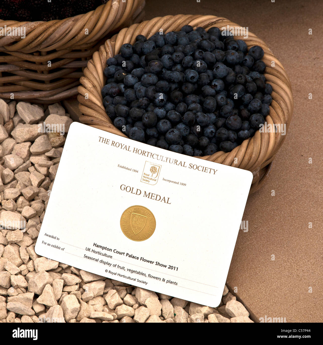 Basket of Blueberries with Gold Medal Certificate Stock Photo - Alamy