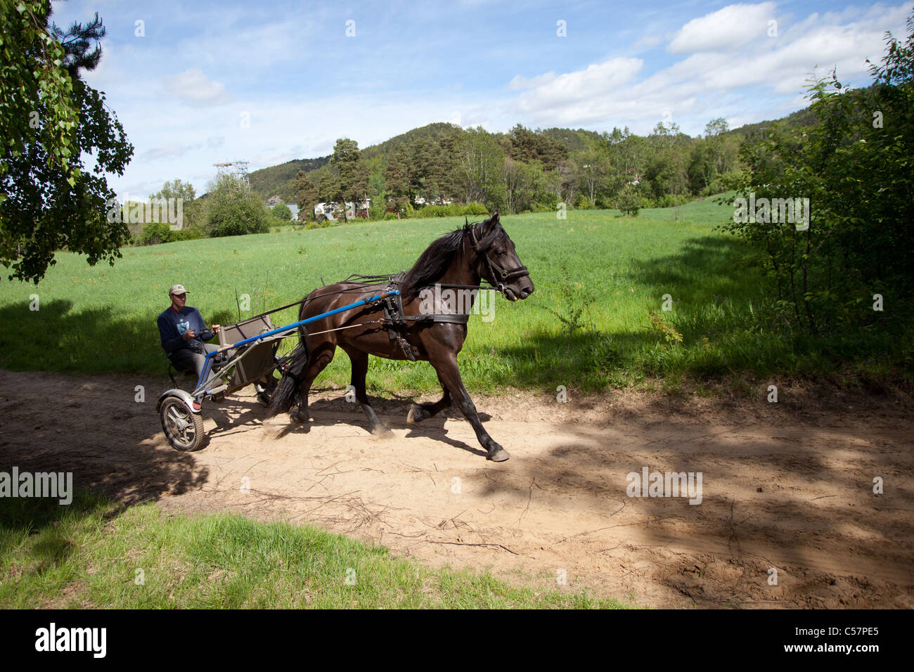 A horse pulling a man in a cart Stock Photo - Alamy