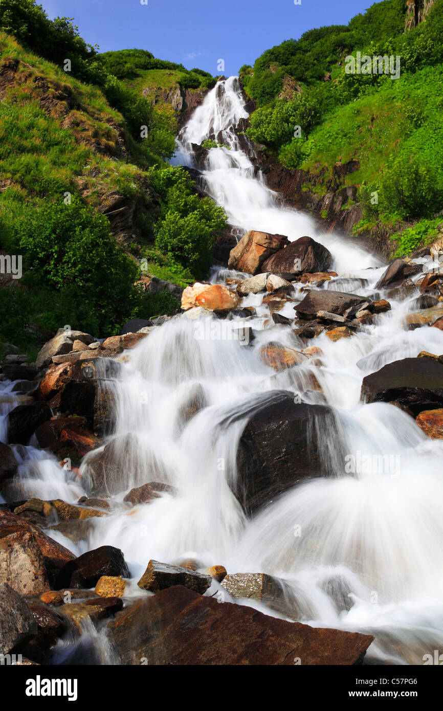 Alps, brook, brook bed, mountain brook, mountains, bushes, shrubs ...