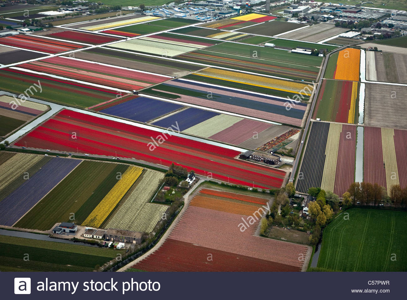 Flower Fields Aerial Stock Photos & Flower Fields Aerial Stock Images ...