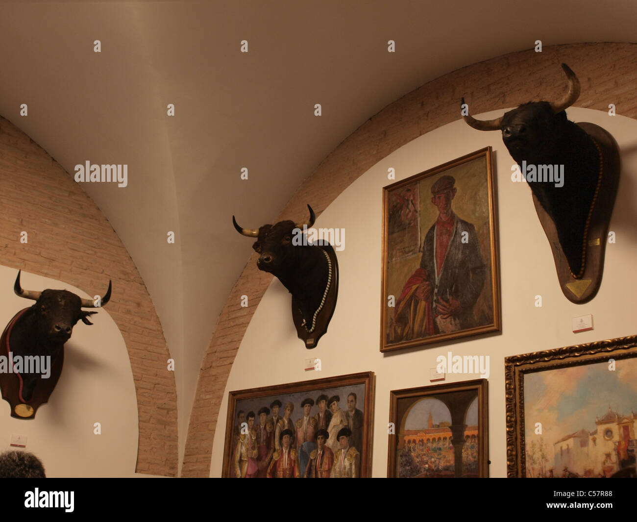 Inside the Seville bullring and some of the old bulls heads Stock Photo ...