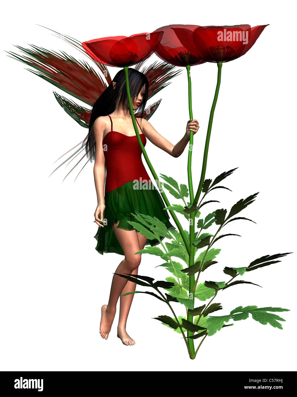 Red poppy flower clipart hi-res stock photography and images - Alamy