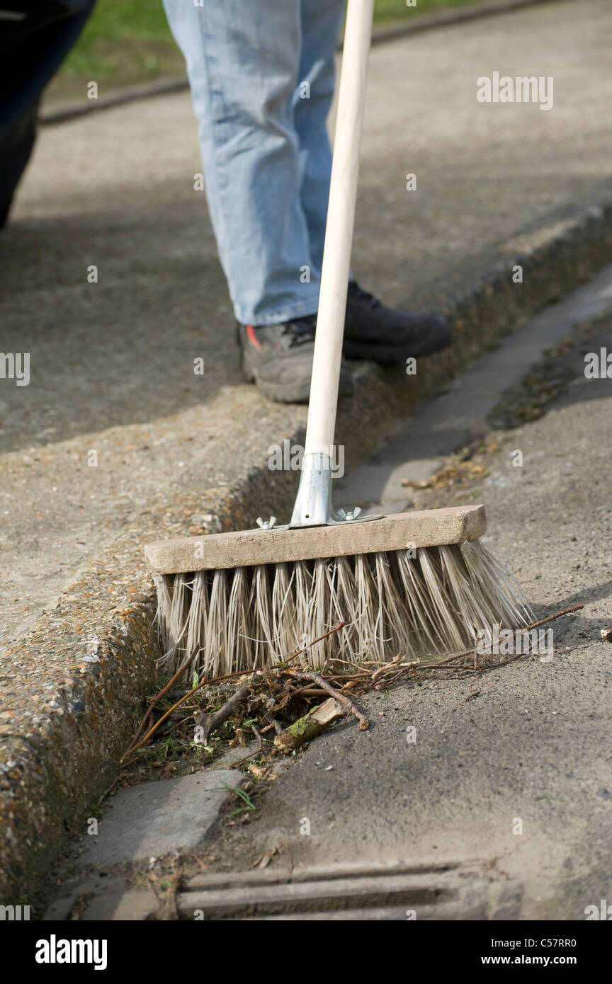 English Broom High Resolution Stock Photography and Images - Alamy