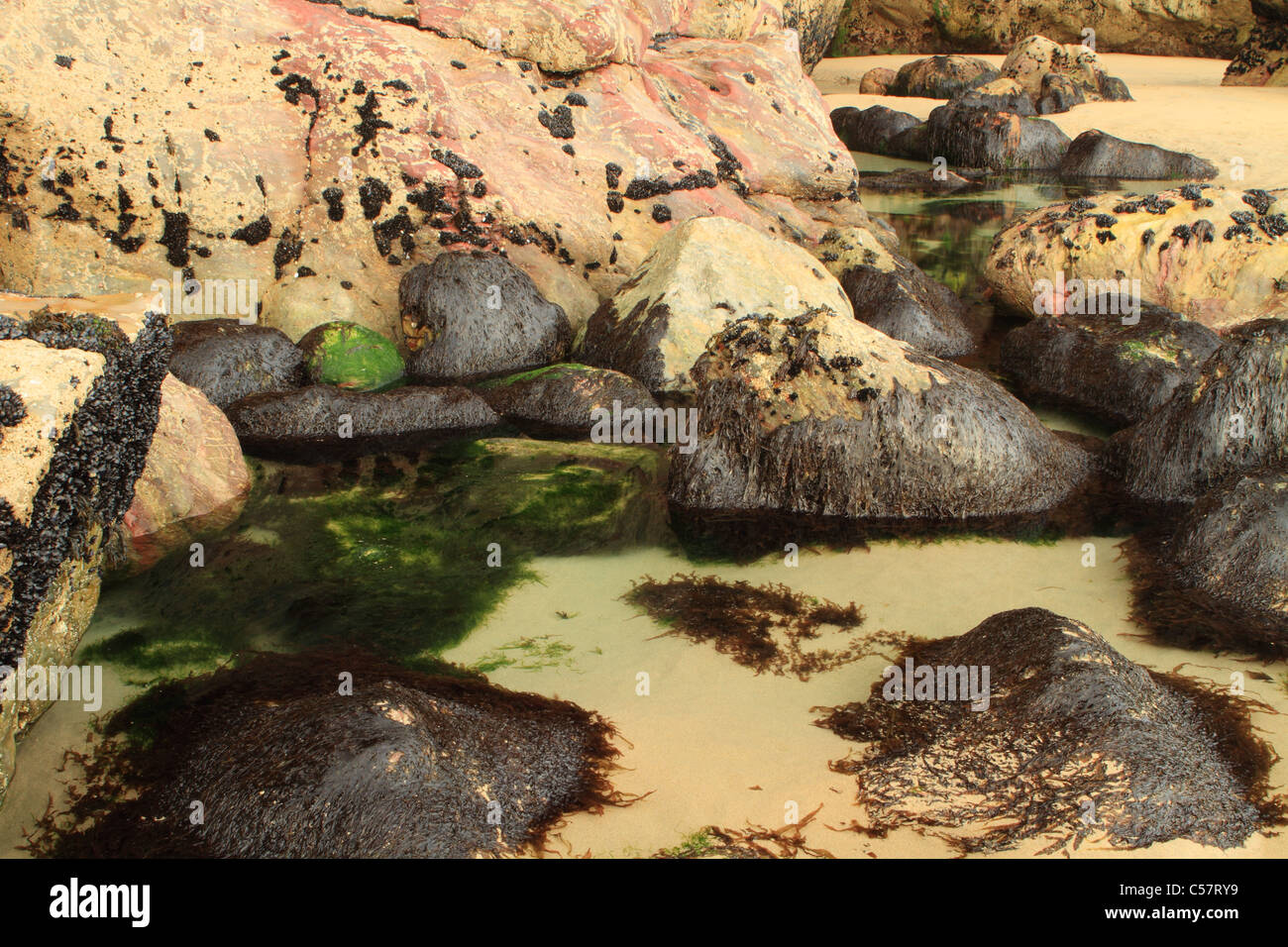 Chapel rock chapel beach hi-res stock photography and images - Alamy