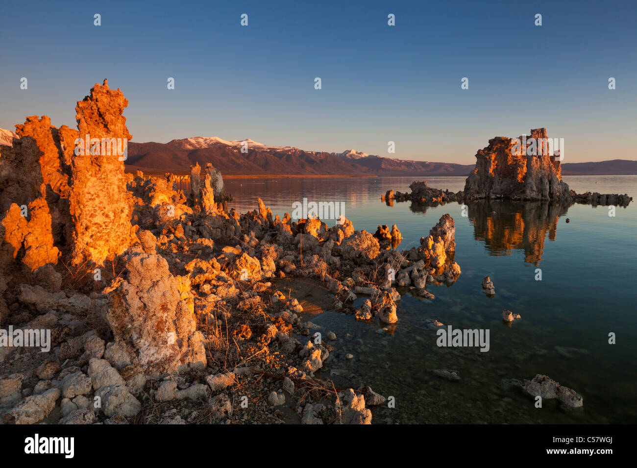 Calcium carbonate spires hi-res stock photography and images - Alamy