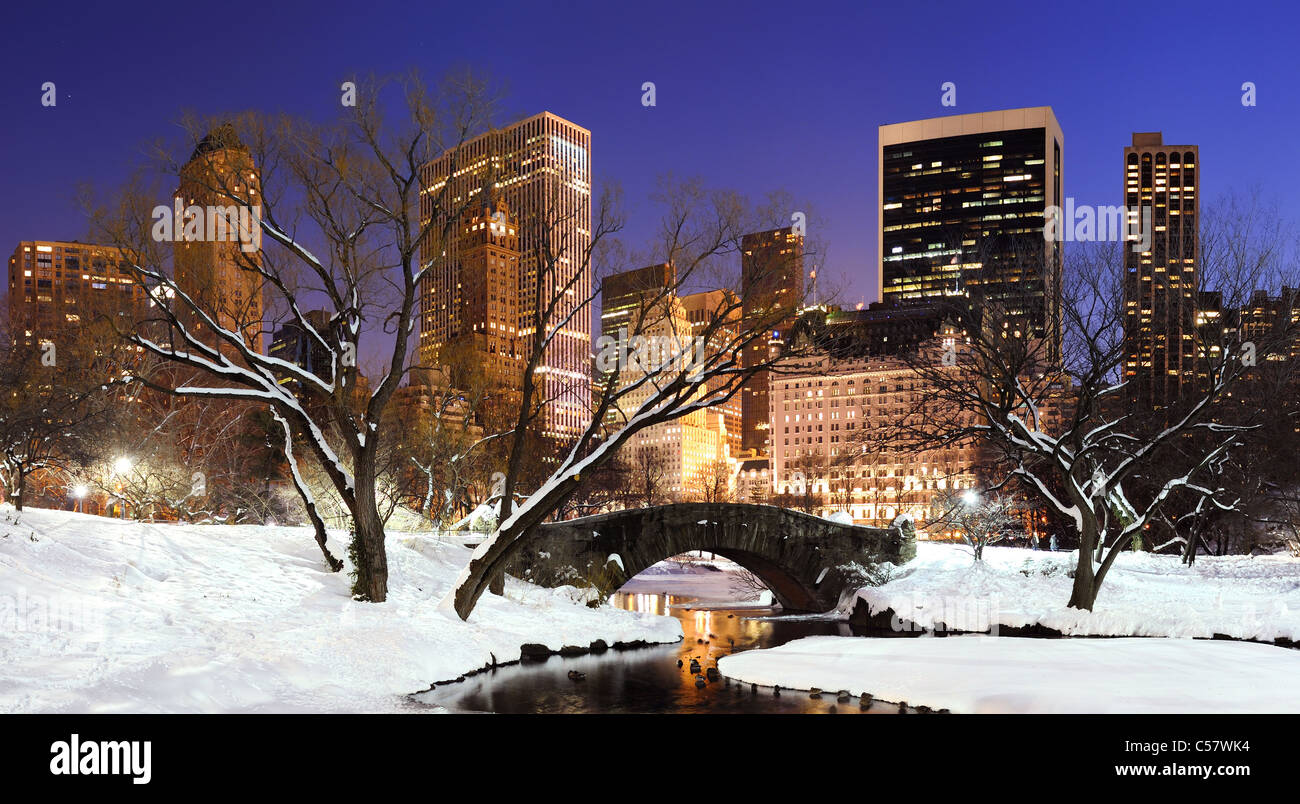New York City Manhattan Central Park panorama in winter with snow ...