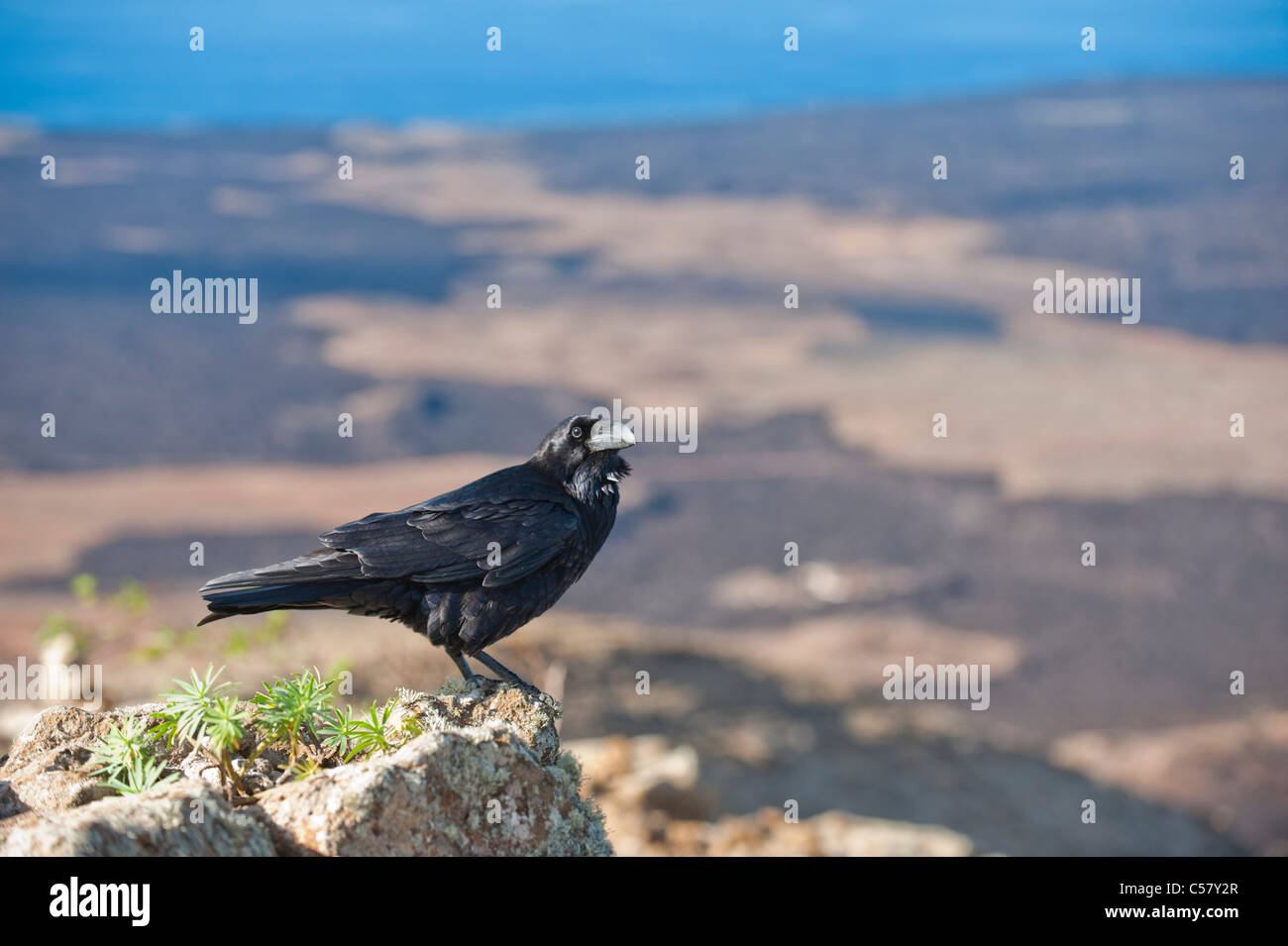 Volcano profile hi-res stock photography and images - Alamy