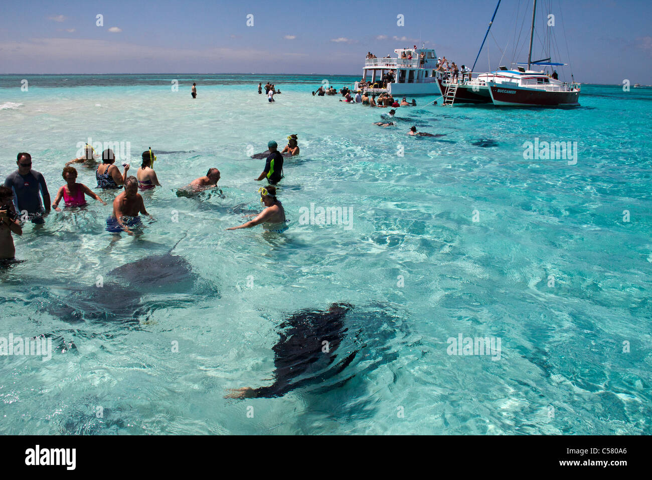 People interact with the stingrays at Stingray City, Cayman Islands ...