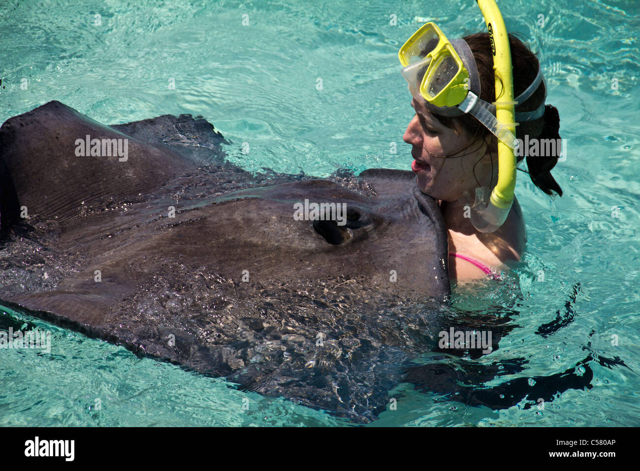 People interact with the stingrays at Stingray City, Cayman Islands ...