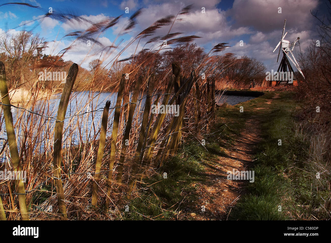 photograph of Clayrack Mill at How Hill on the Norfolk Broads Stock ...