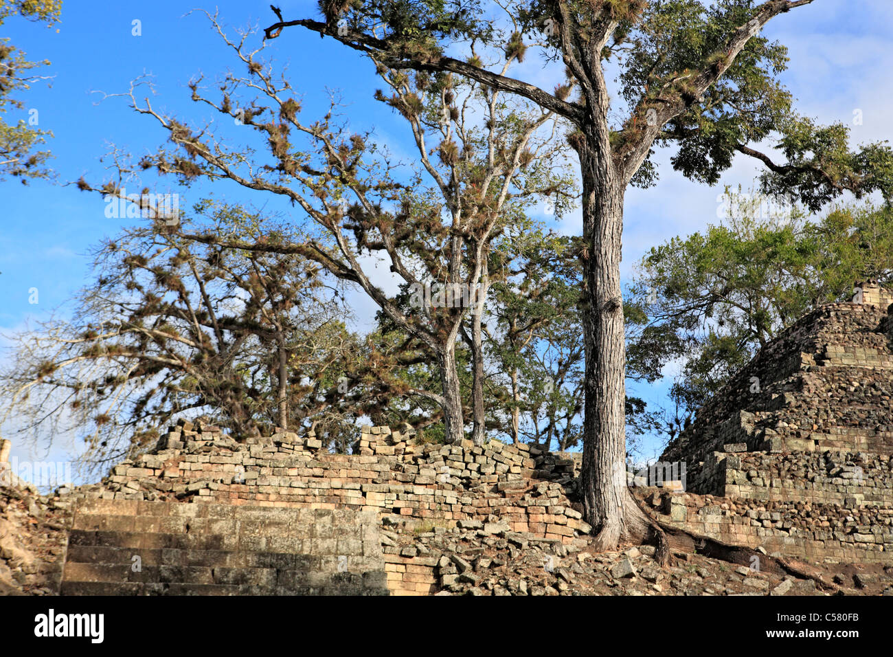 Central America, Central American, Architecture, building, Guatemala ...