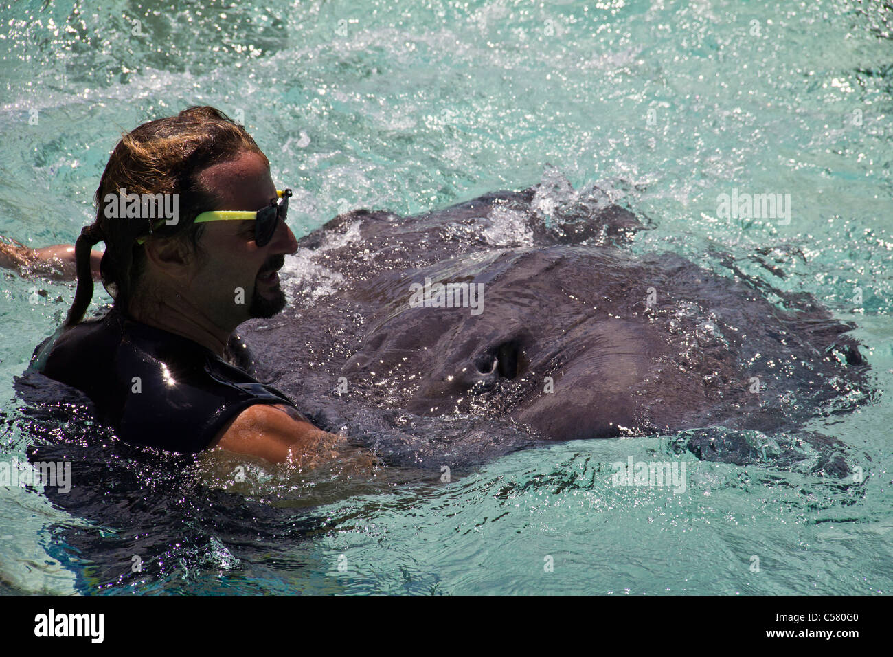 People interact with the stingrays at Stingray City, Cayman Islands ...