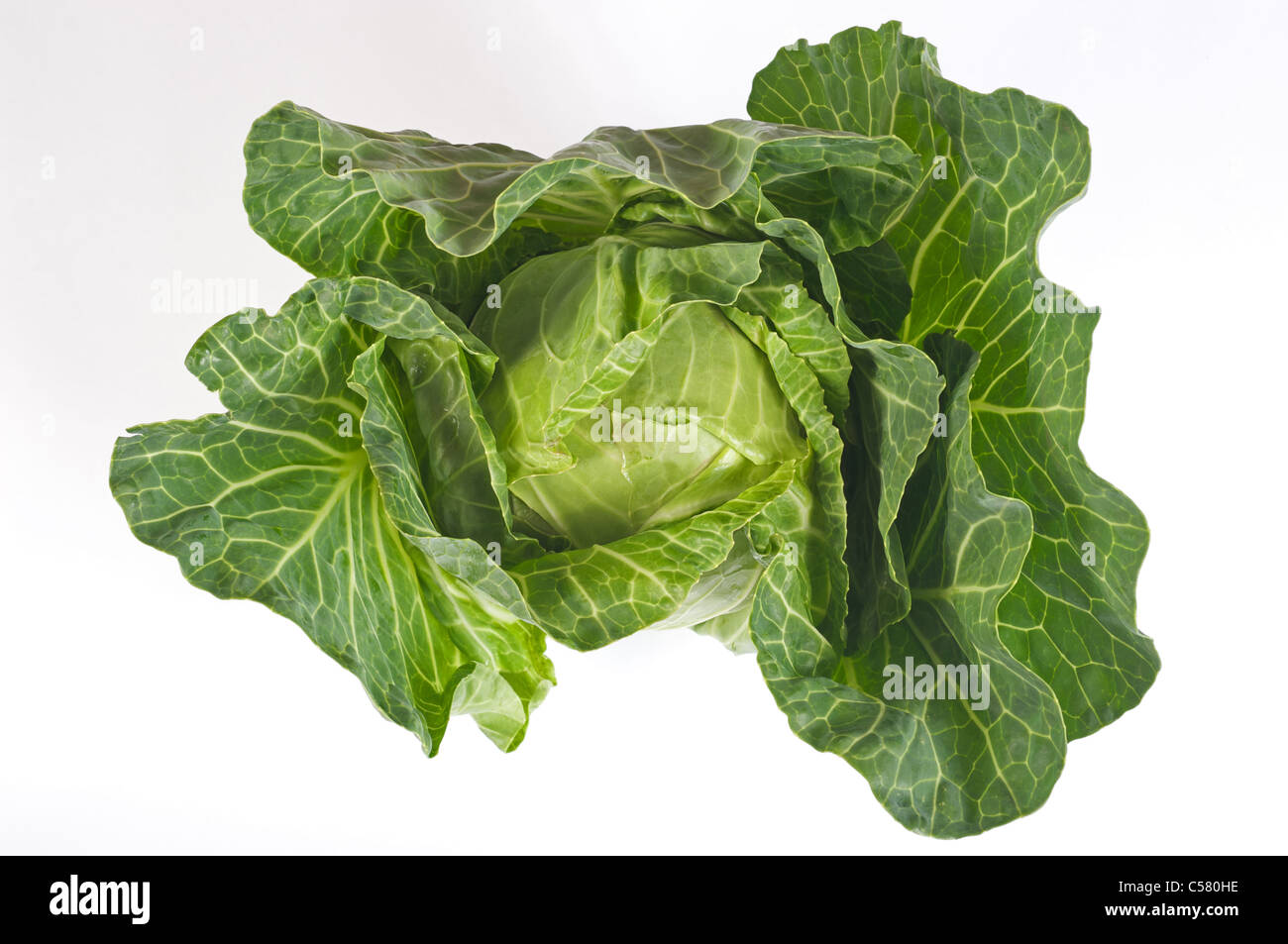 Organic homegrown cabbage Stock Photo - Alamy