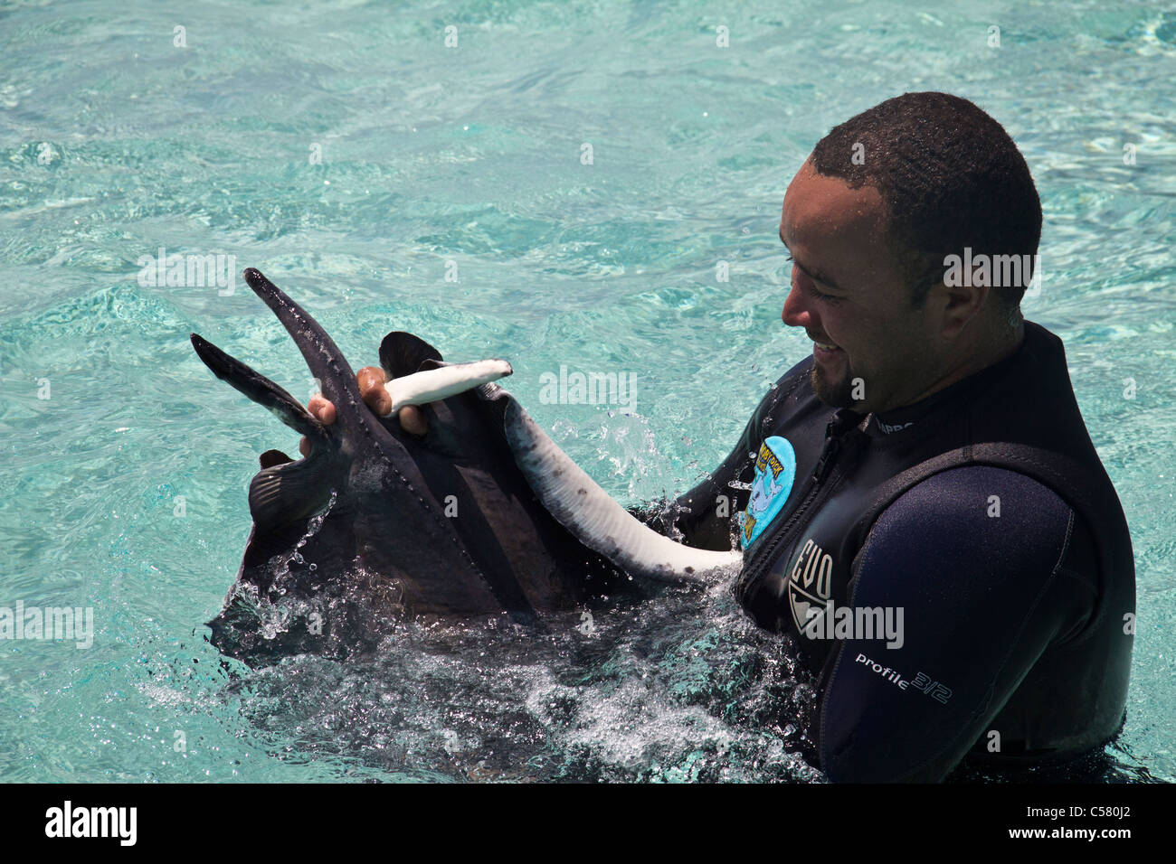 People interact with the stingrays at Stingray City, Cayman Islands ...