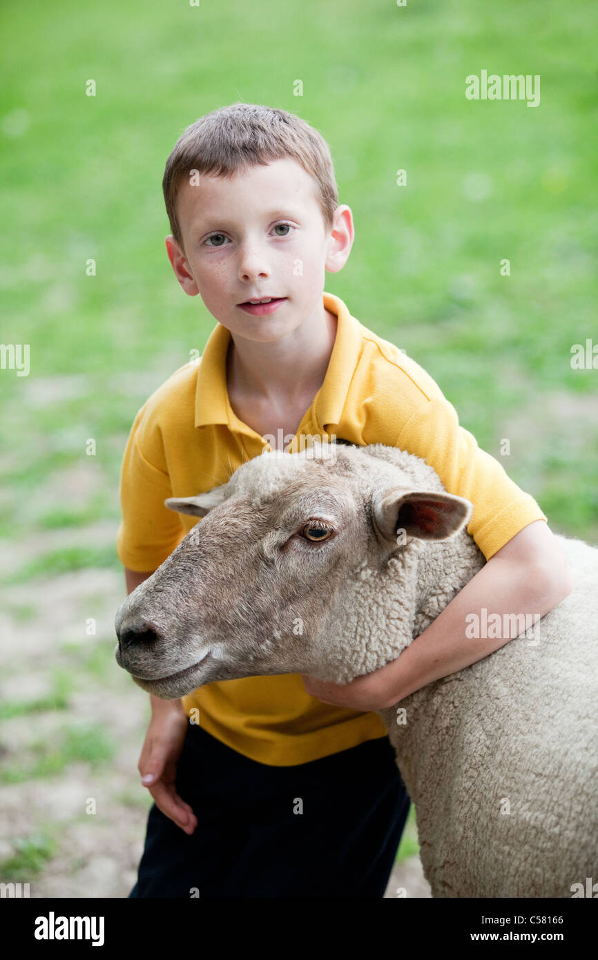 Boy with sheep Stock Photo - Alamy