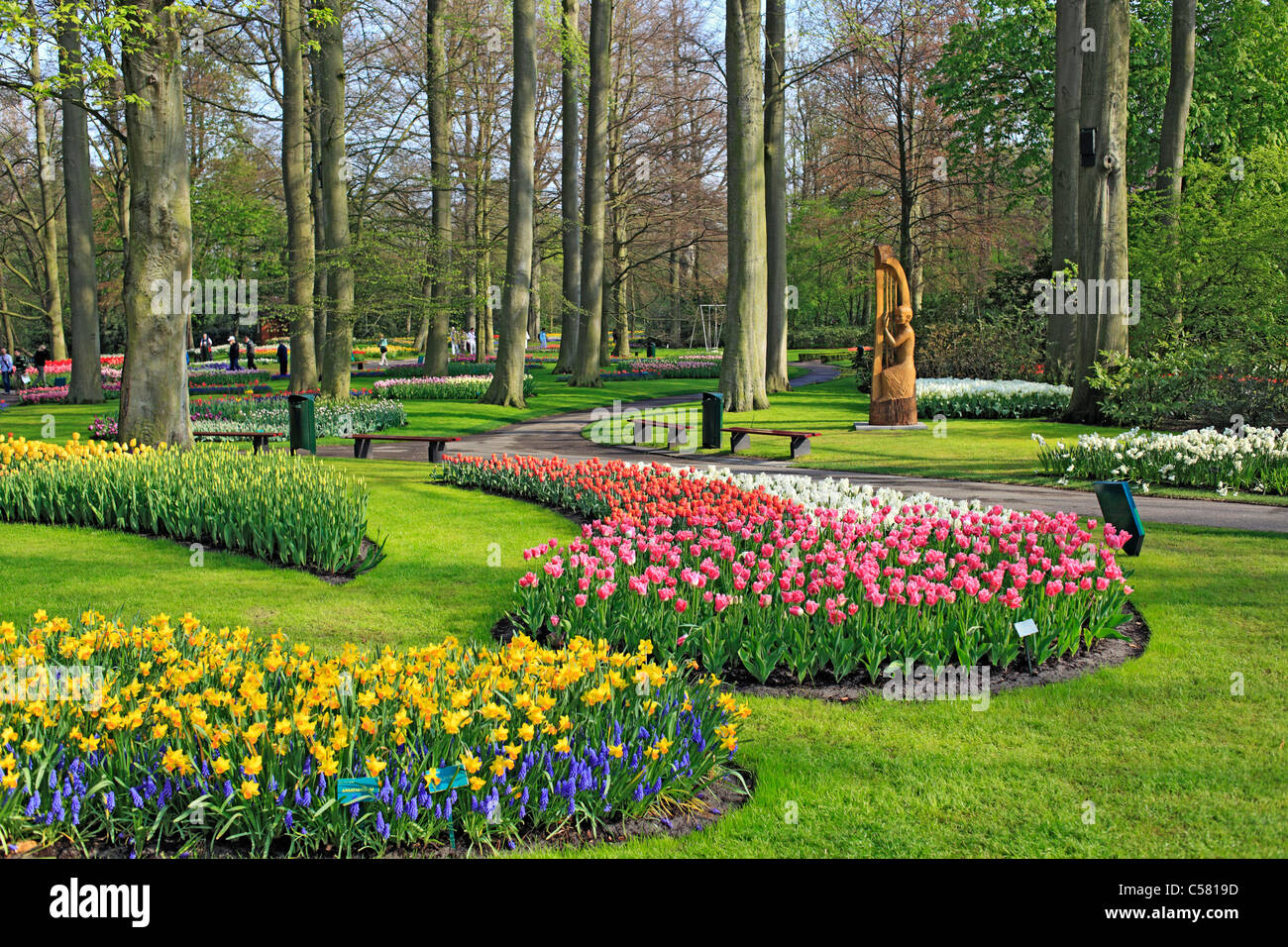 Netherlands, Holland, Europe, European, Western Europe, Dutch, Flower ...