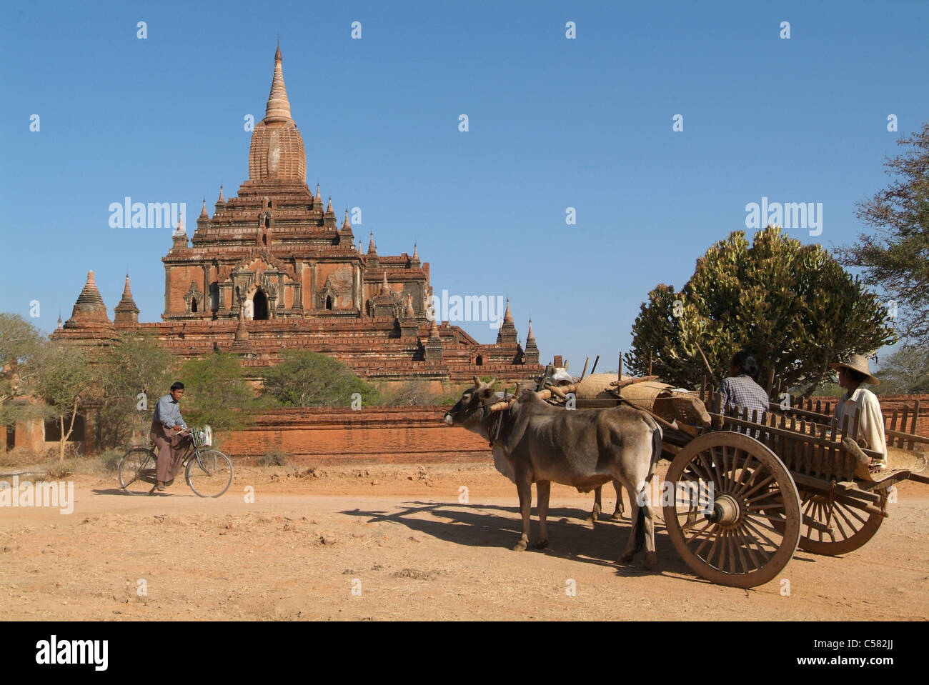 Asia, Burma, Myanmar, Bagan, temple, Sulamani, carts, cart, ox, oxcart ...