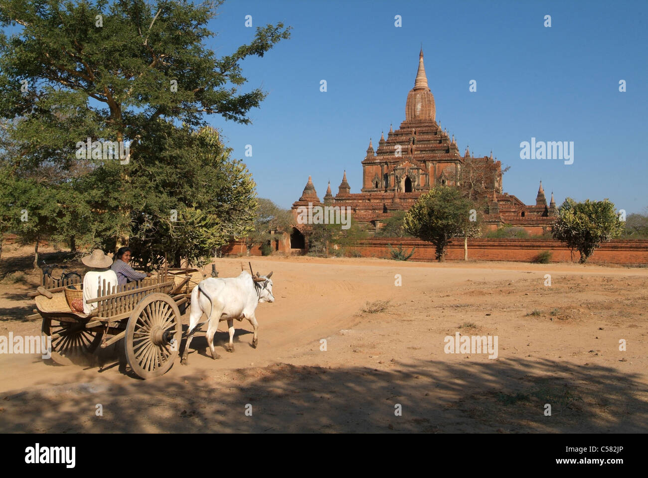 Asia, Burma, Myanmar, Bagan, temple, Sulamani, carts, cart, ox, oxcart ...