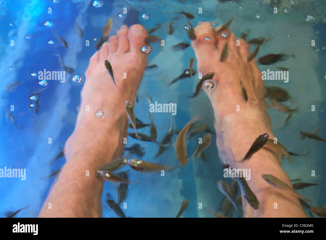 Asia, Thailand, Bangkok, medicine, feet, fish, cleaning, skin, scale ...