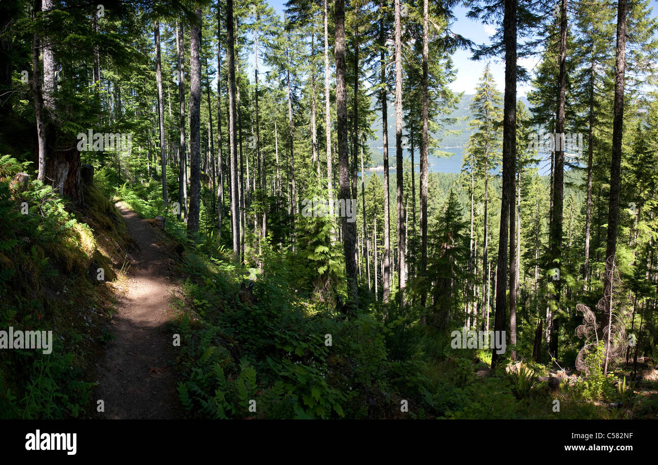 Stahlman hi-res stock photography and images - Alamy