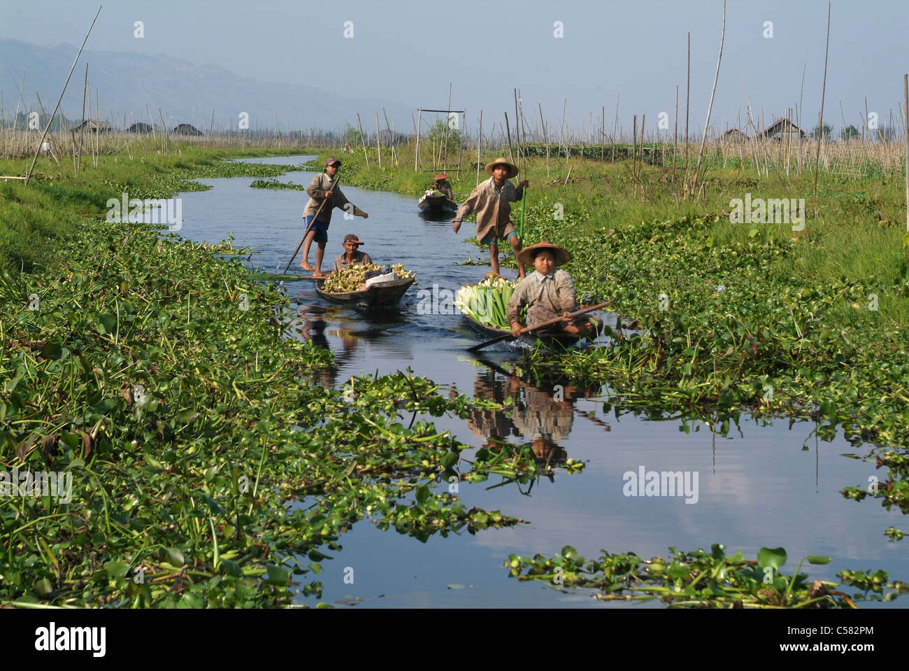 Asia, Burma, Myanmar, Bagan, lake Inle, agriculture, canoe, farmers ...