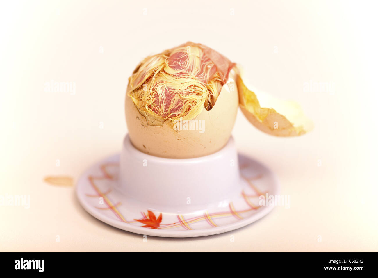 Chicken Hatching in egg cup Stock Photo - Alamy