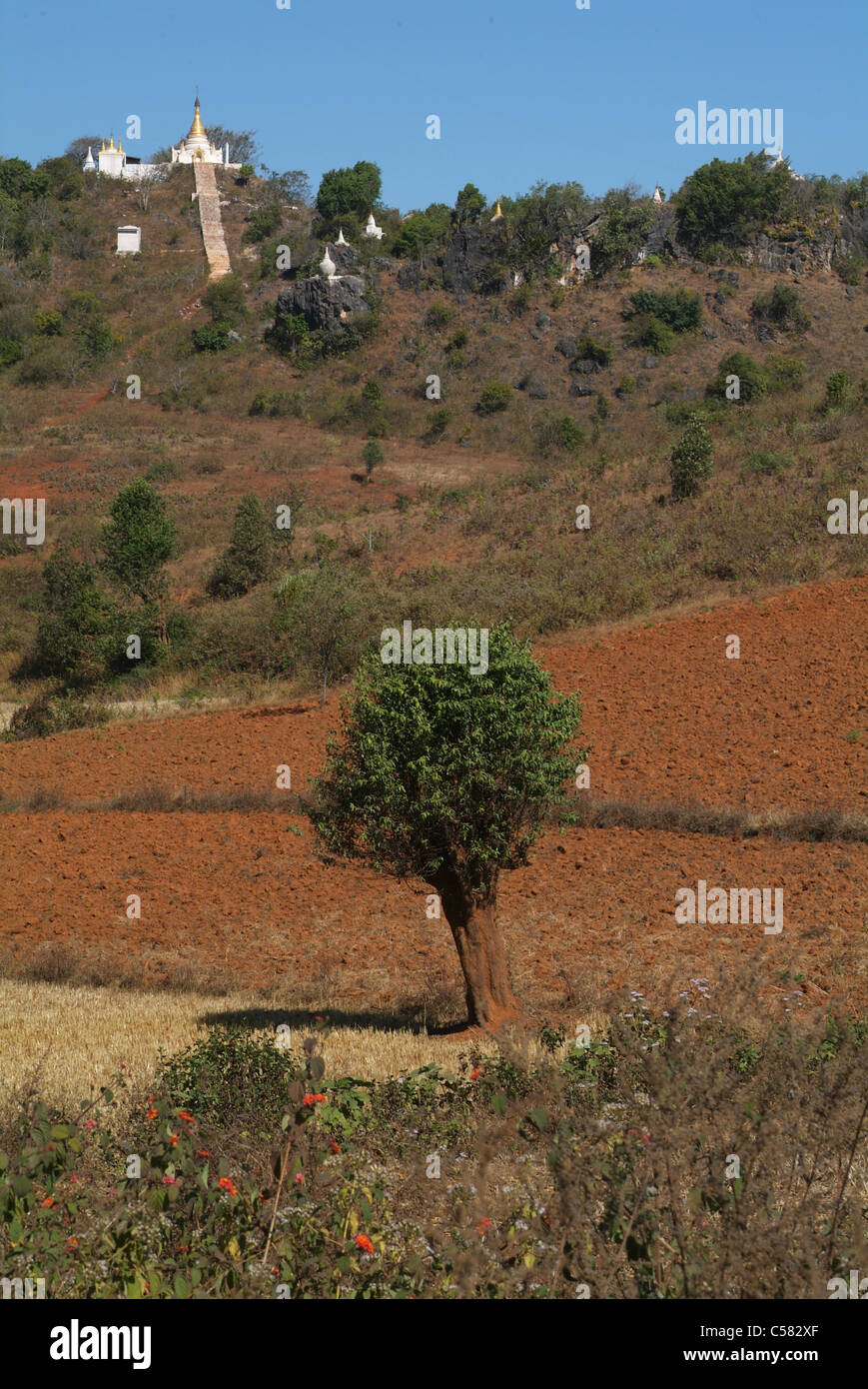 Asia, Burma, Myanmar, scenery, agriculture, plateau, near Aungban, near ...