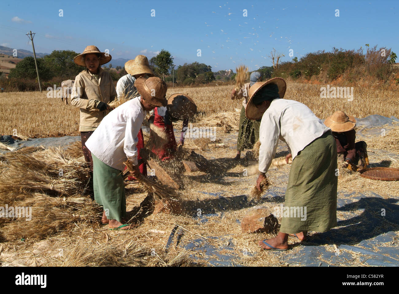 Asia, Burma, Myanmar, scenery, agriculture, plateau, near Aungban, near ...