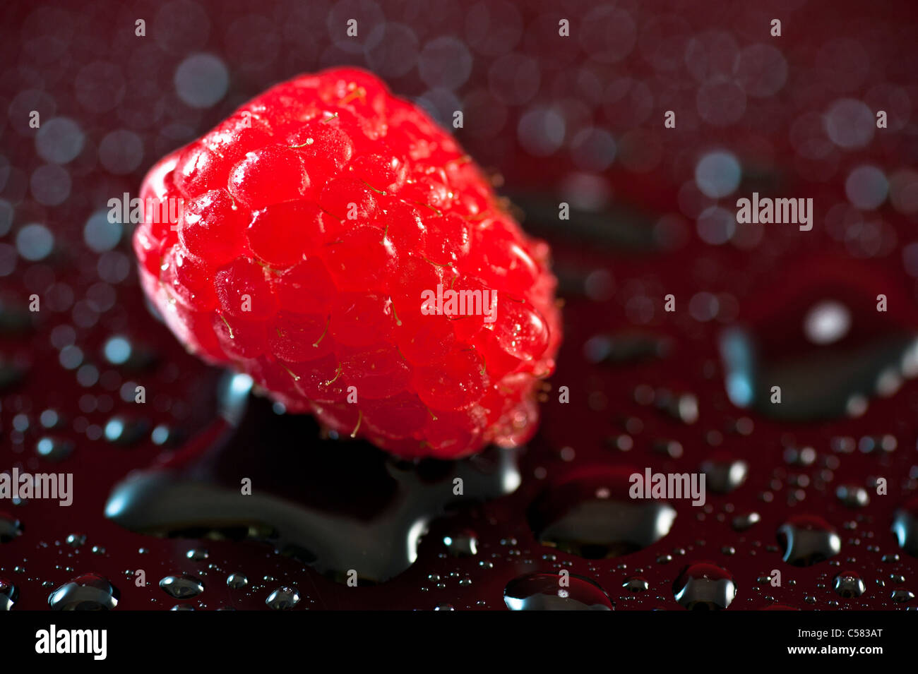 A single red raspberry on a black reflective panel with water droplets ...